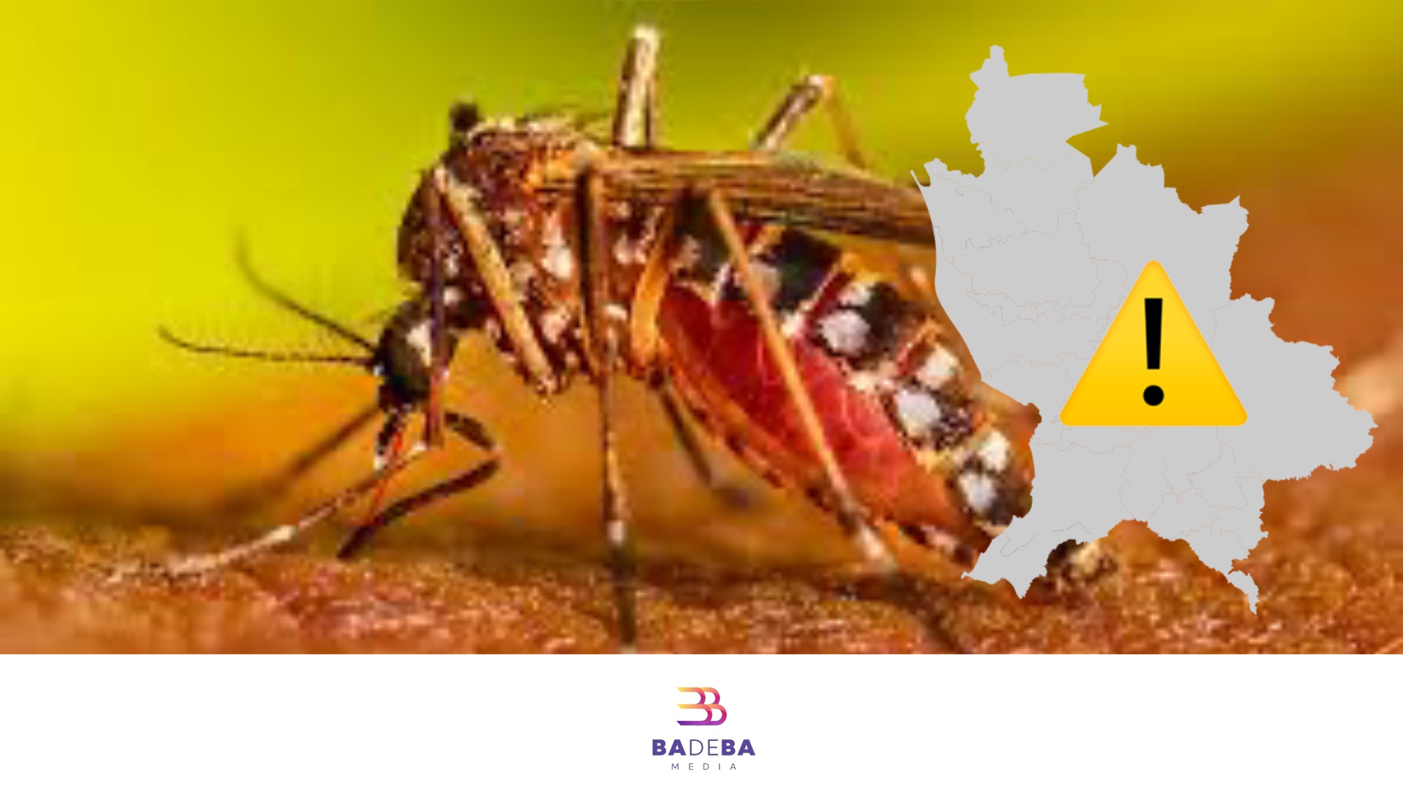 Dengue, fuera de control en Nayarit: supera los 2 mil casos — Badeba Media